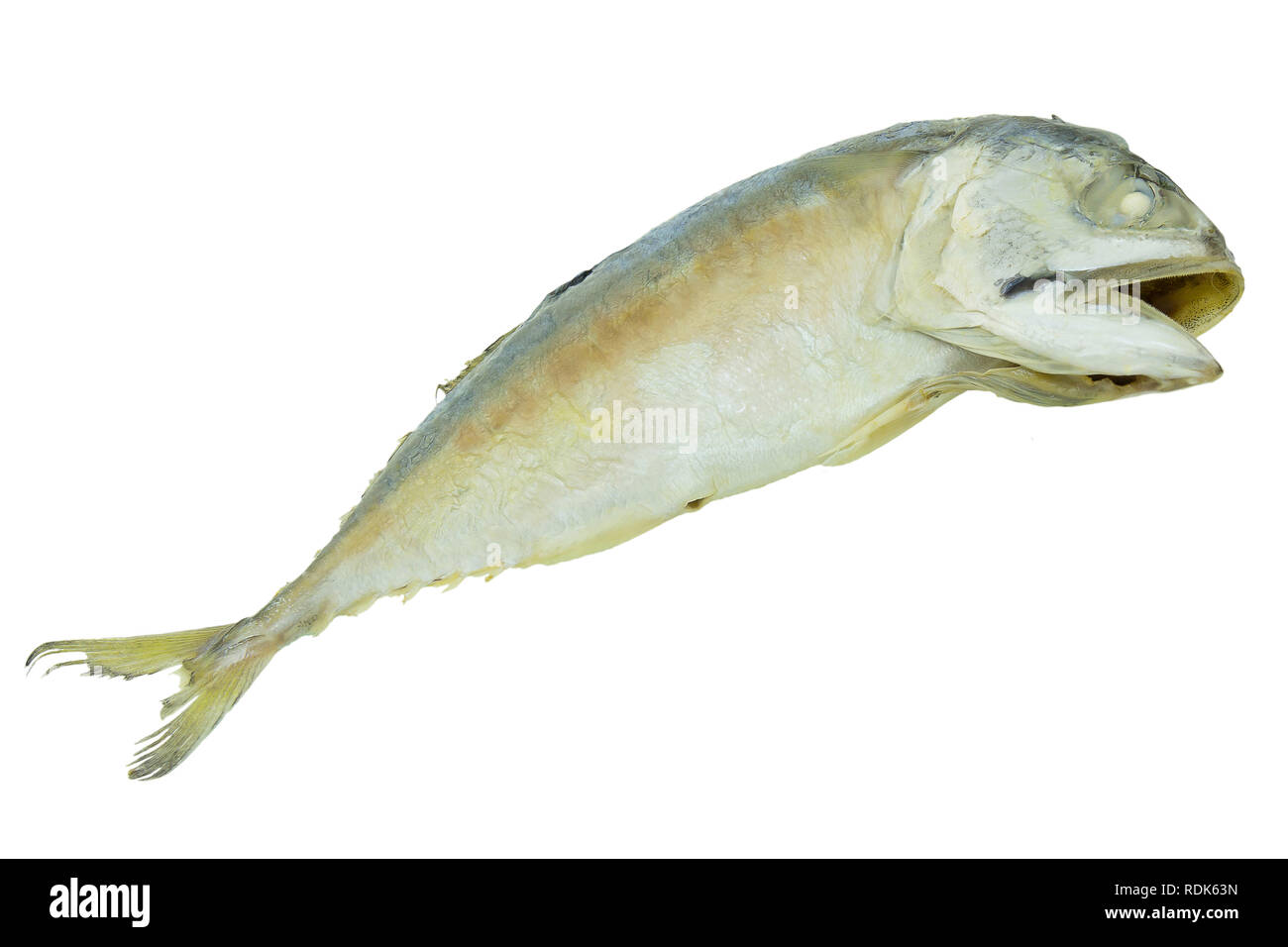 Fresh mackerel fish isolated on the white background Stock Photo - Alamy