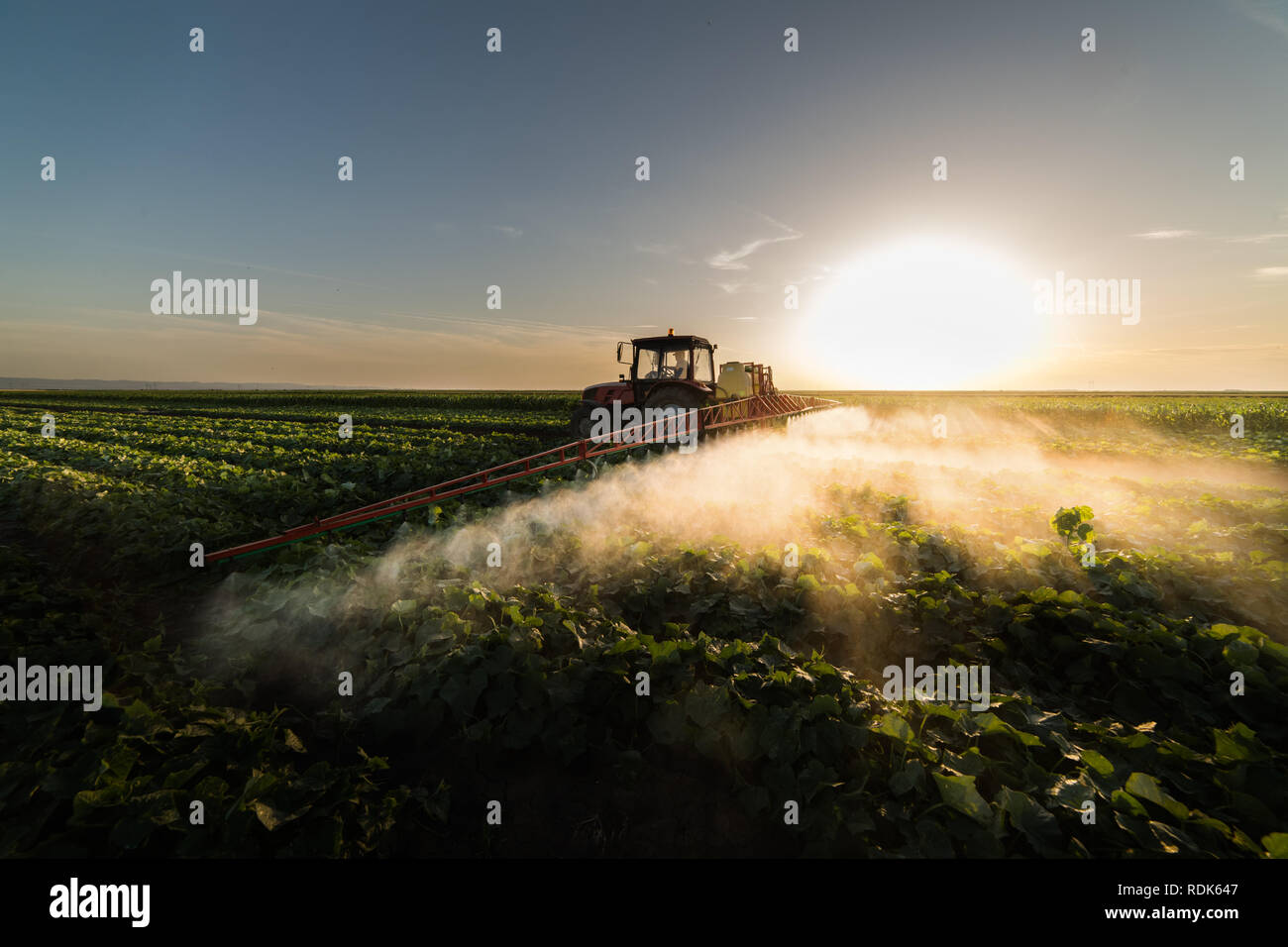 Farmer on a tractor with a sprayer makes fertilizer for young ...