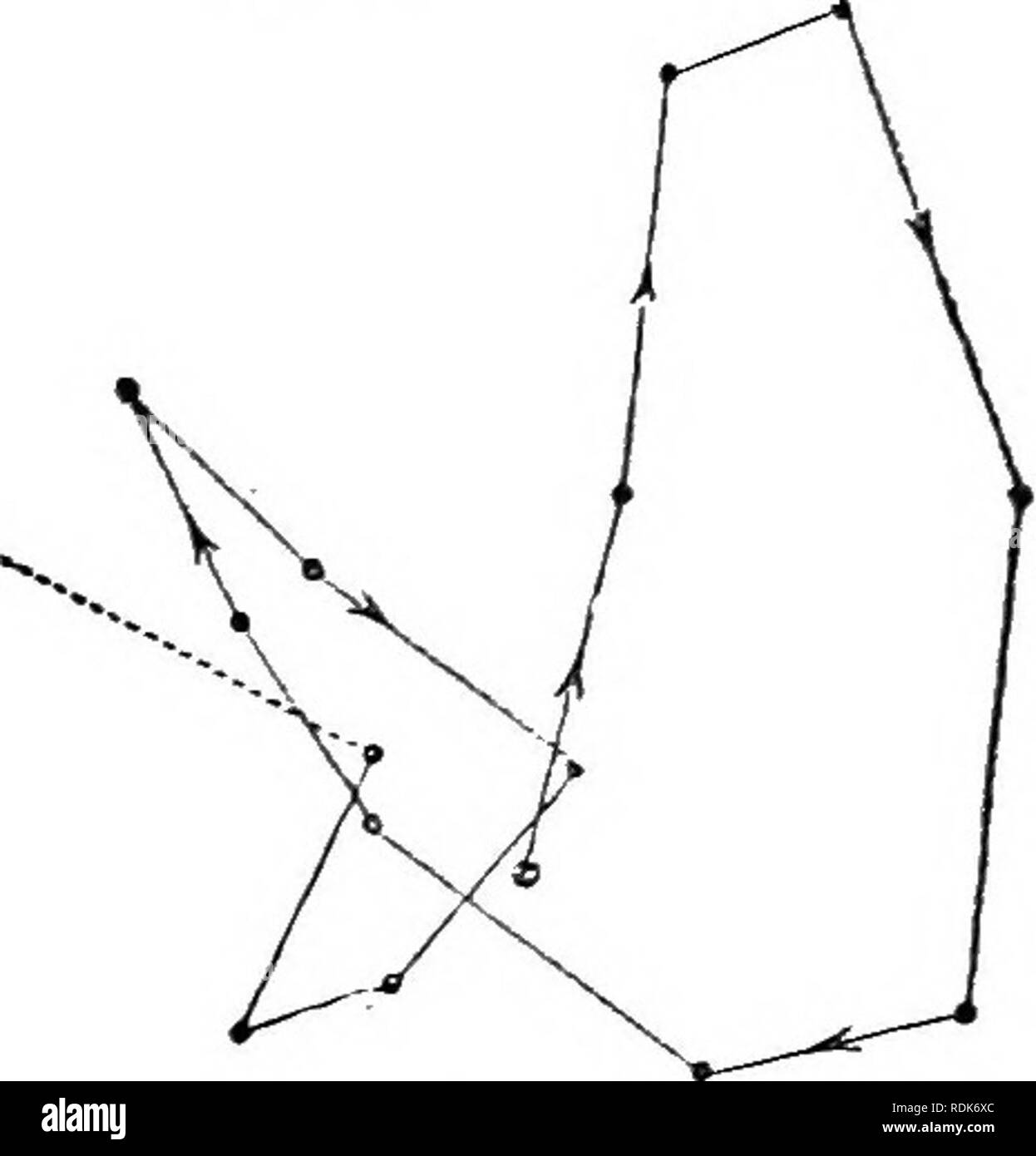 Heliotropic movement hi-res stock photography and images - Alamy