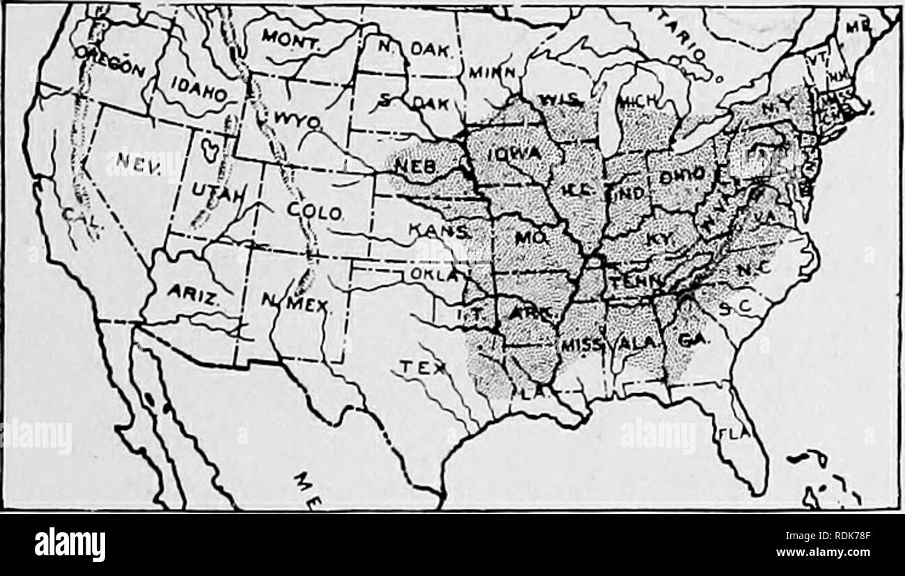 Black walnut trees canada hi-res stock photography and images - Alamy