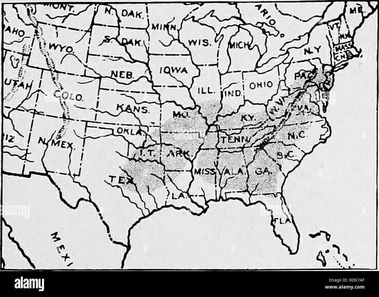 Irregular scaly plates hi-res stock photography and images - Alamy