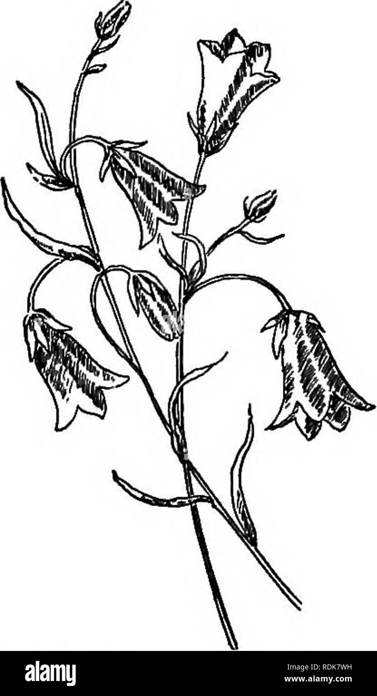 Only ma Cut Out Stock Images & Pictures - Alamy