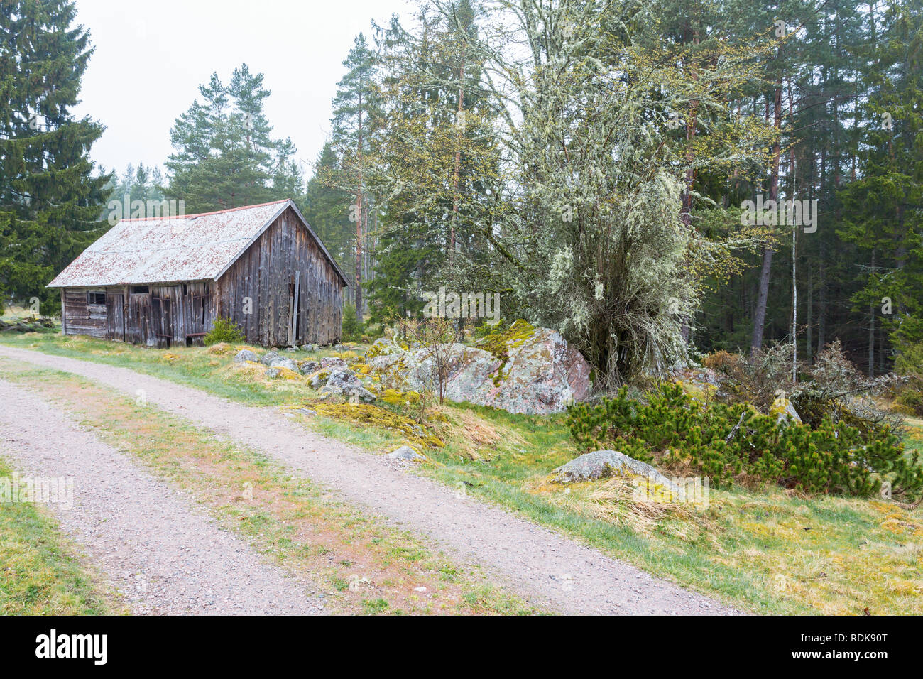 Old Shed at the gravel road in the woods Stock Photo - Alamy
