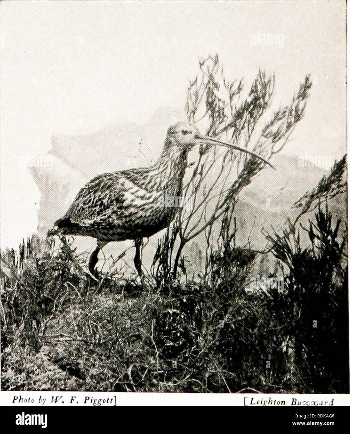 H s crouching hi-res stock photography and images - Alamy