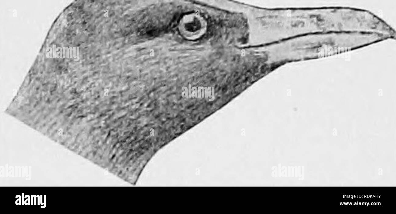 Slightly twisted appearance hi-res stock photography and images - Alamy