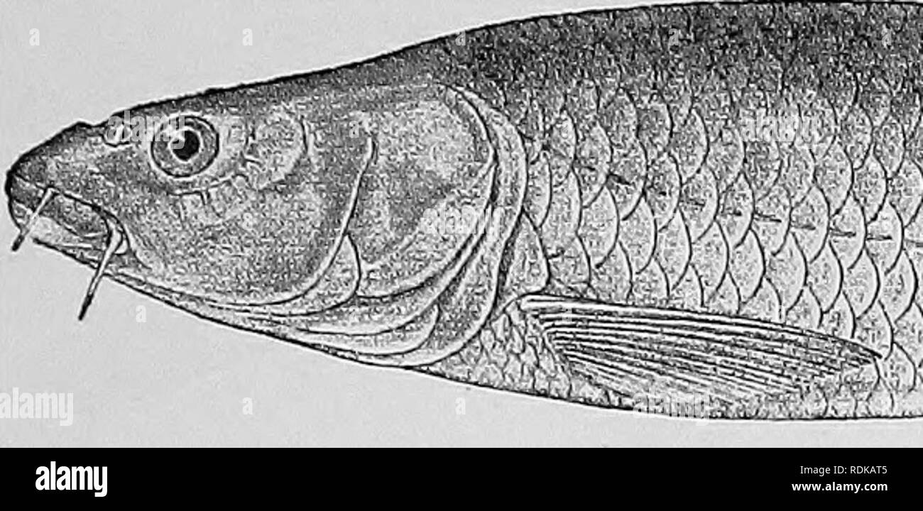 Total 227 Black and White Stock Photos & Images - Alamy