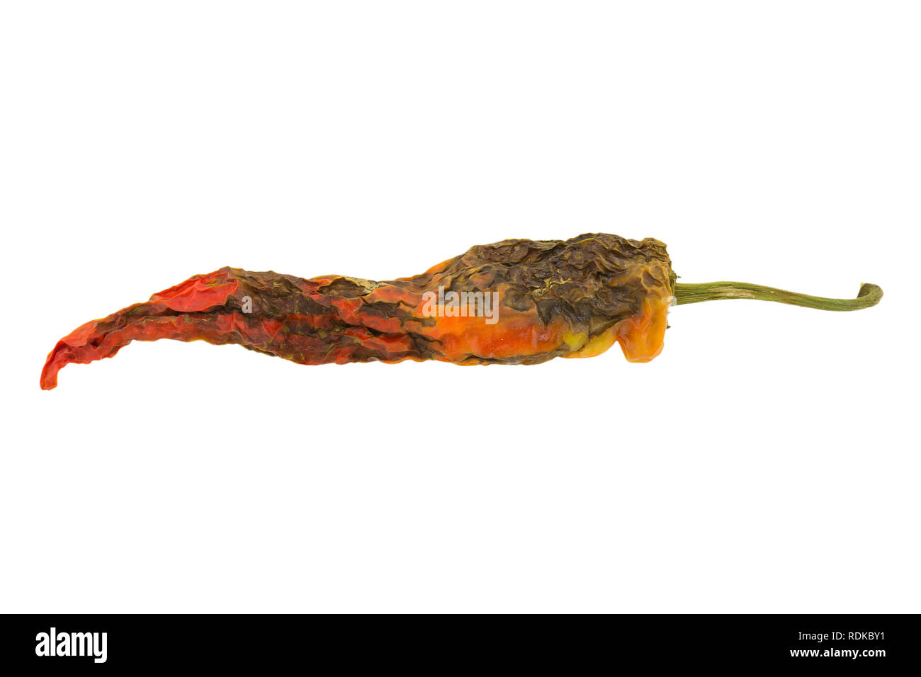 rotten pepper isolated on white background Stock Photo - Alamy