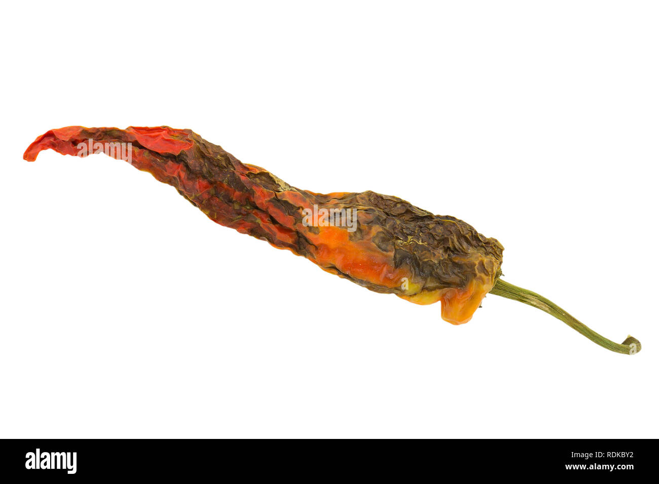 rotten pepper isolated on white background Stock Photo - Alamy
