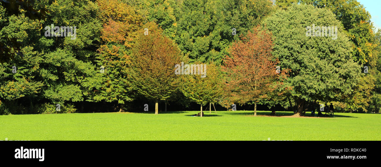 park with trees of different types with even a green lawn Stock Photo ...