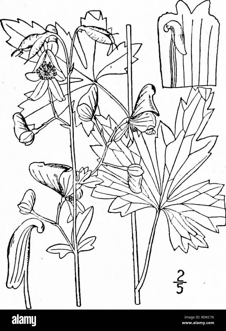 Apex trail Cut Out Stock Images & Pictures - Alamy