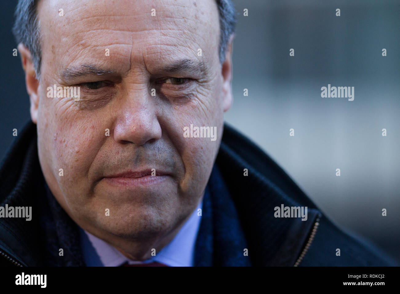 Democratic Unionist Party deputy leader Nigel Dodds outside No.10 ...