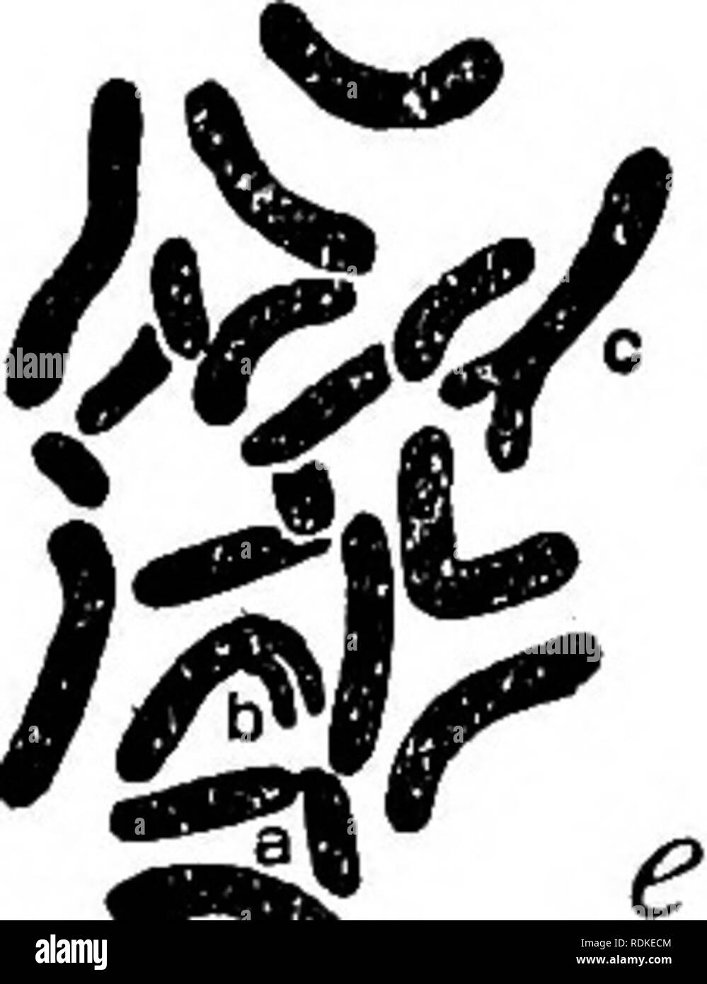 Eggs to go Cut Out Stock Images & Pictures - Alamy