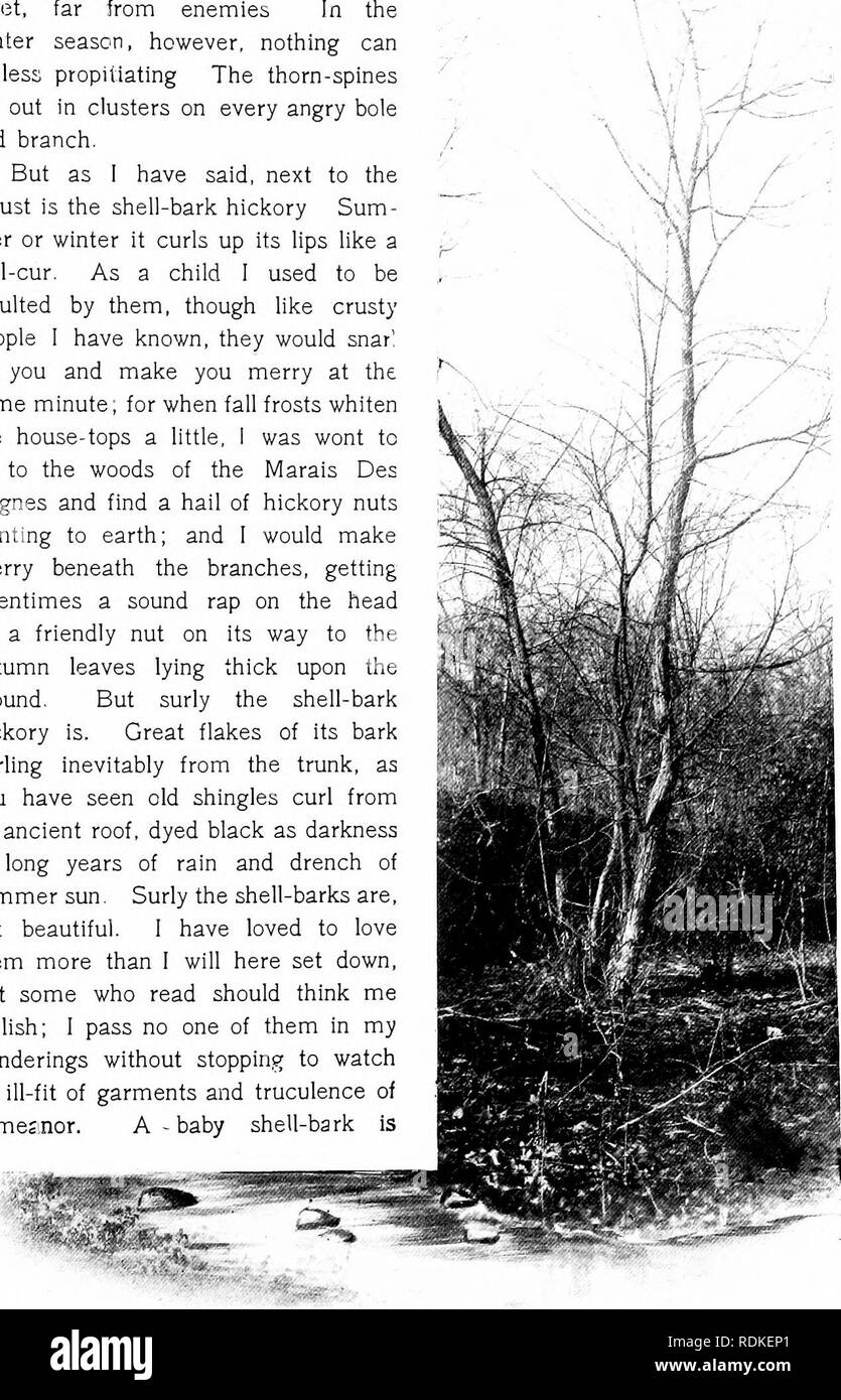 Angry birds go hi-res stock photography and images - Alamy