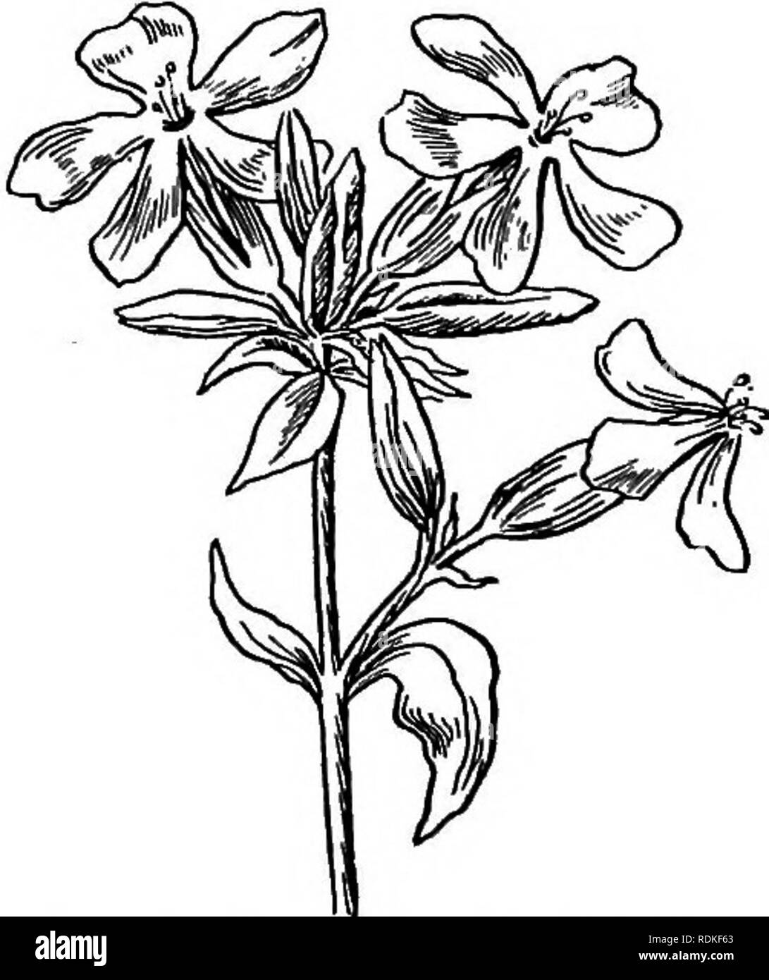 Bouncing betty hi-res stock photography and images - Alamy