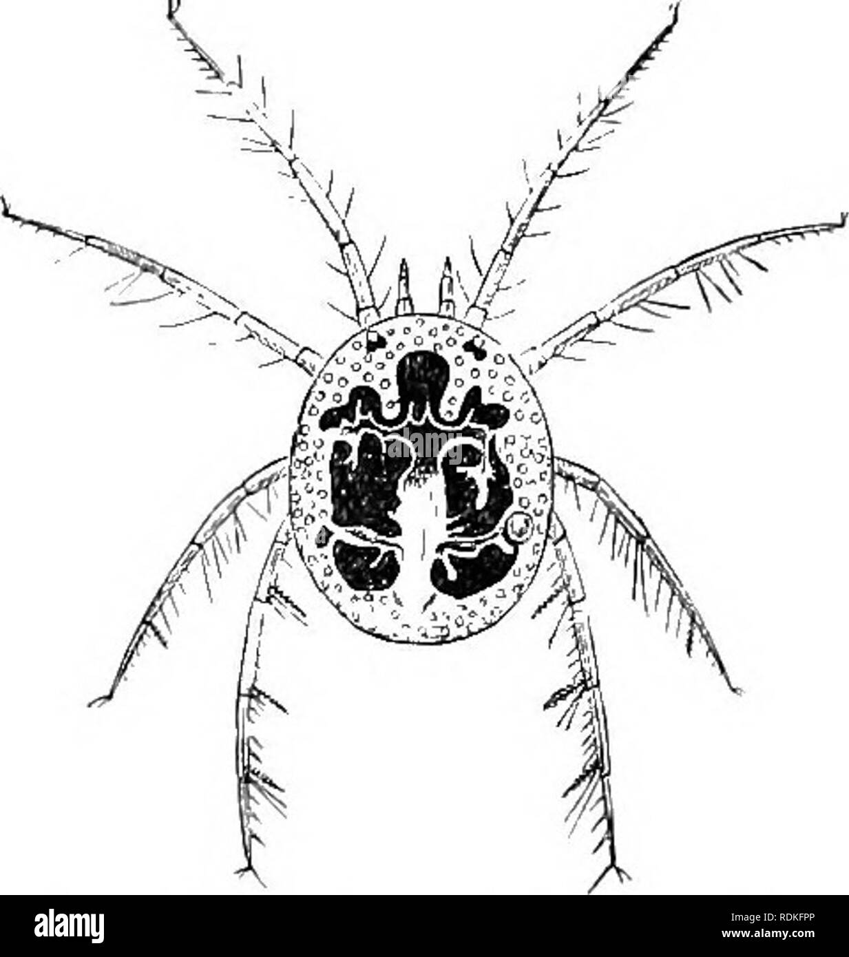 This is a remaining mud Cut Out Stock Images & Pictures - Alamy