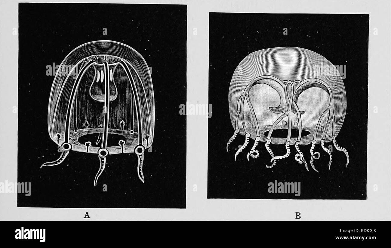 Medusa stages Black and White Stock Photos & Images - Alamy