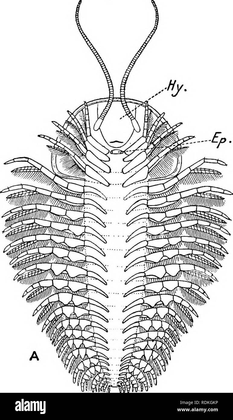 . The Cambridge natural history. Zoology. APPENDAGES 2.37 each ...