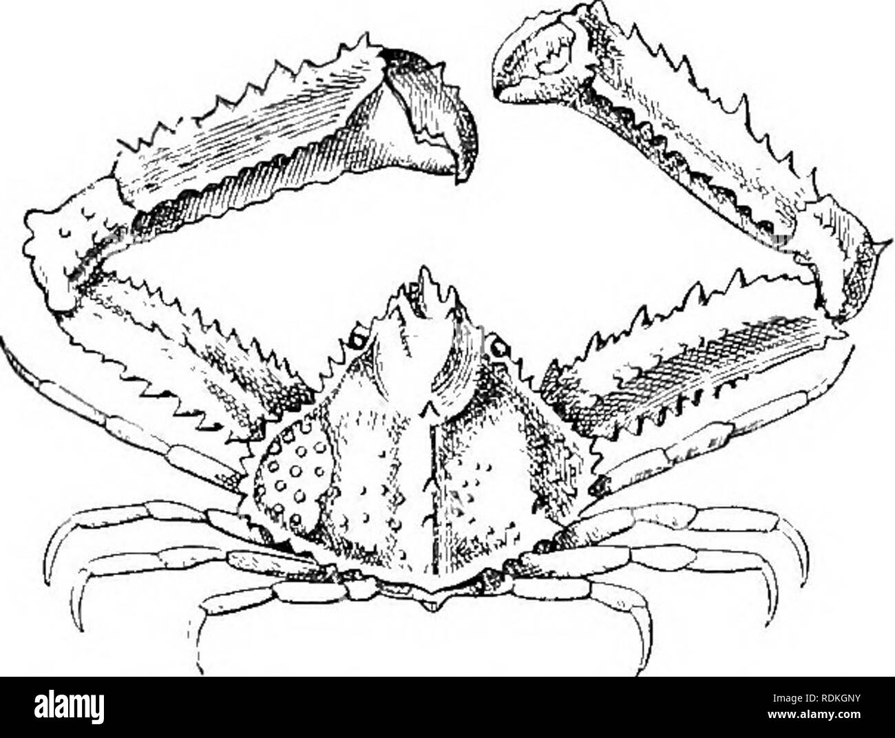 Swollen legs hi hi-res stock photography and images - Alamy