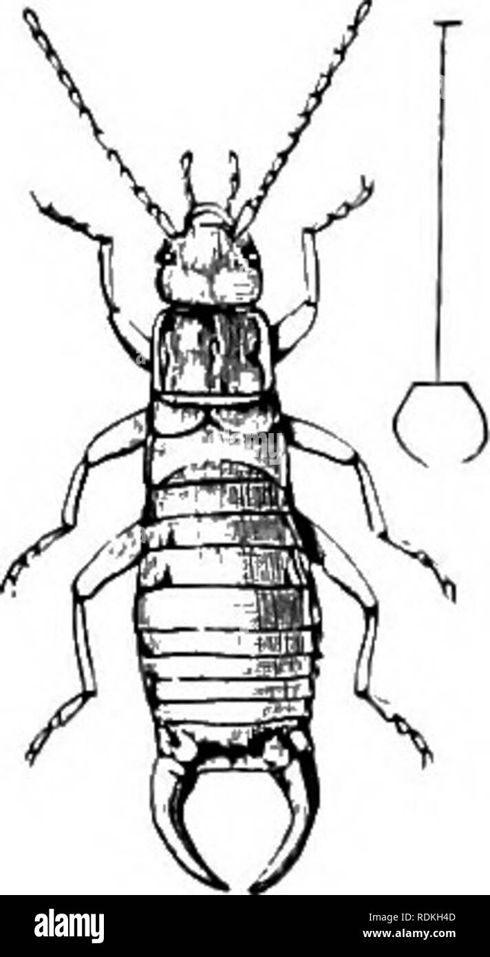 Triangular base plate Black and White Stock Photos & Images - Alamy