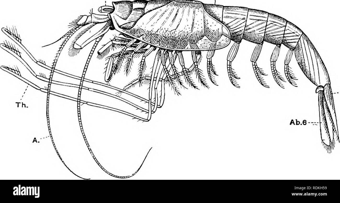 79 x 46 Black and White Stock Photos & Images - Alamy