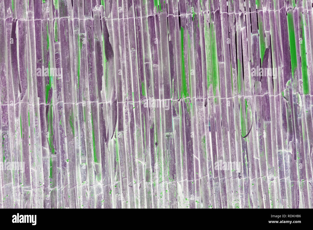 Surreal bamboo background texture - inverted colors give a fairytale ...