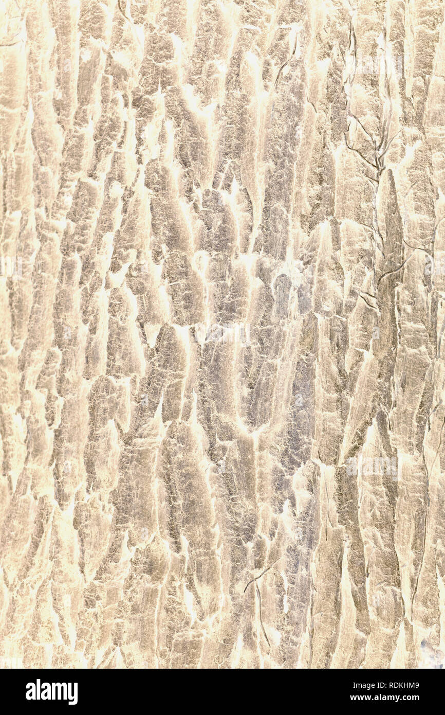 Surreal wooden tree background - inverted colors give a fairytale like ...