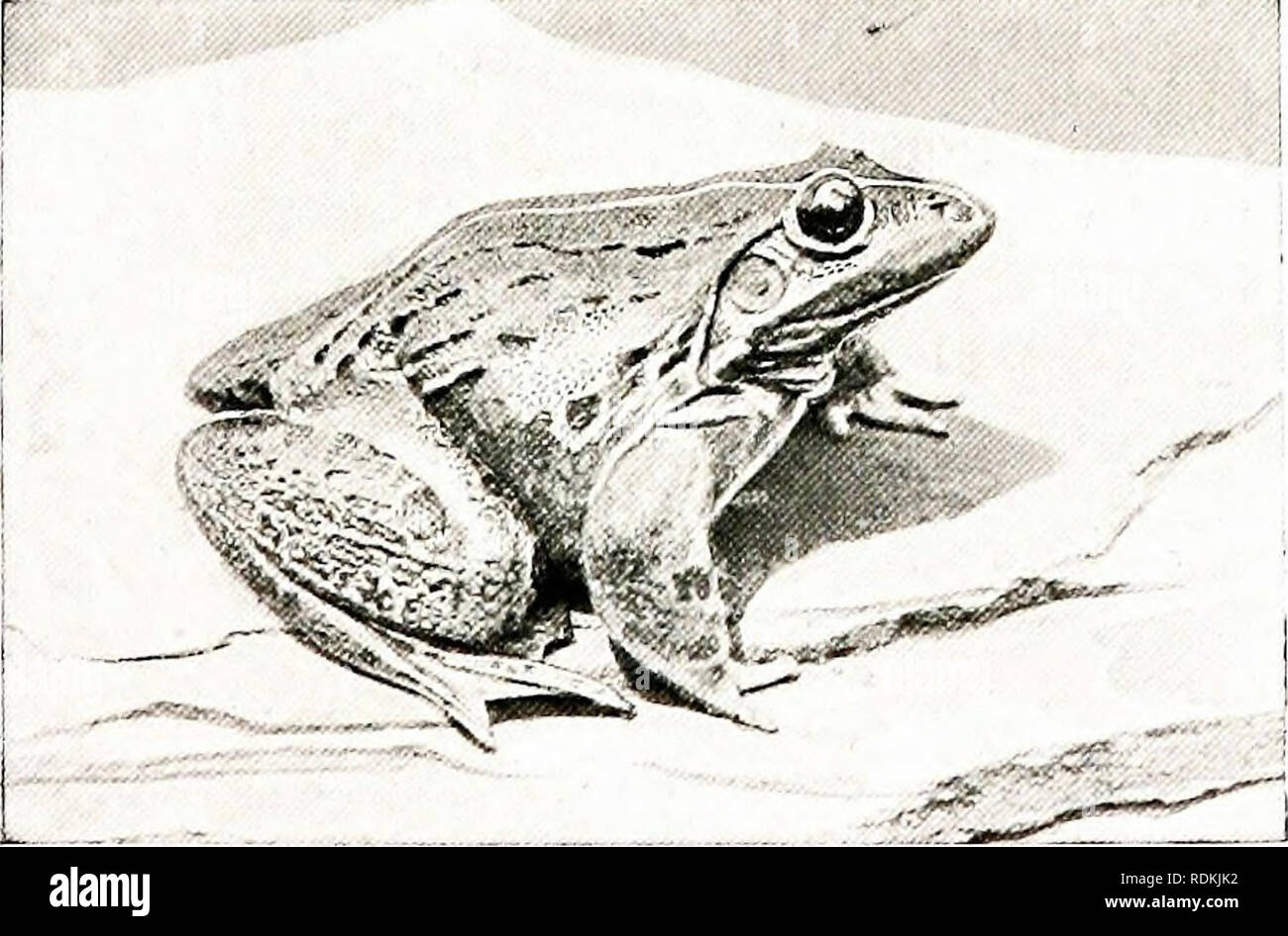 Paoro hi-res stock photography and images - Alamy