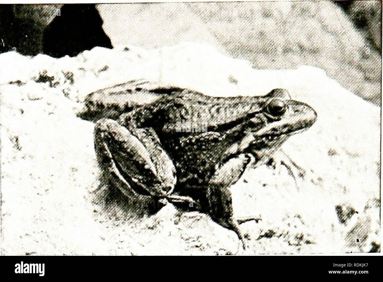 Paoro hi-res stock photography and images - Alamy