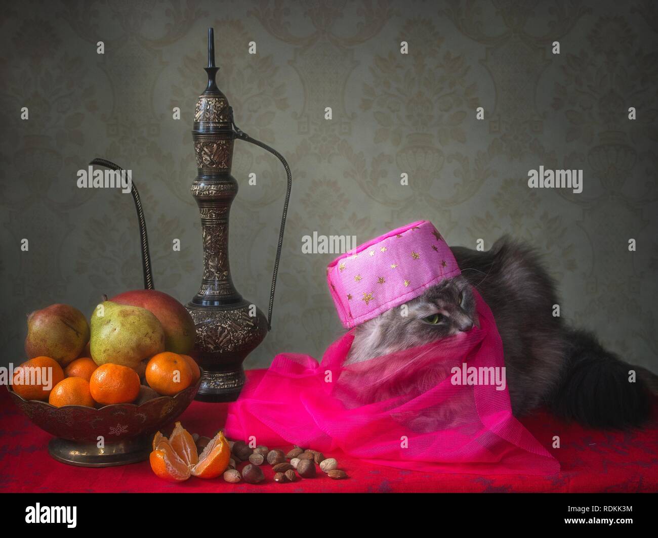 Beautiful gray kitty in the image of an eastern princess Stock Photo ...