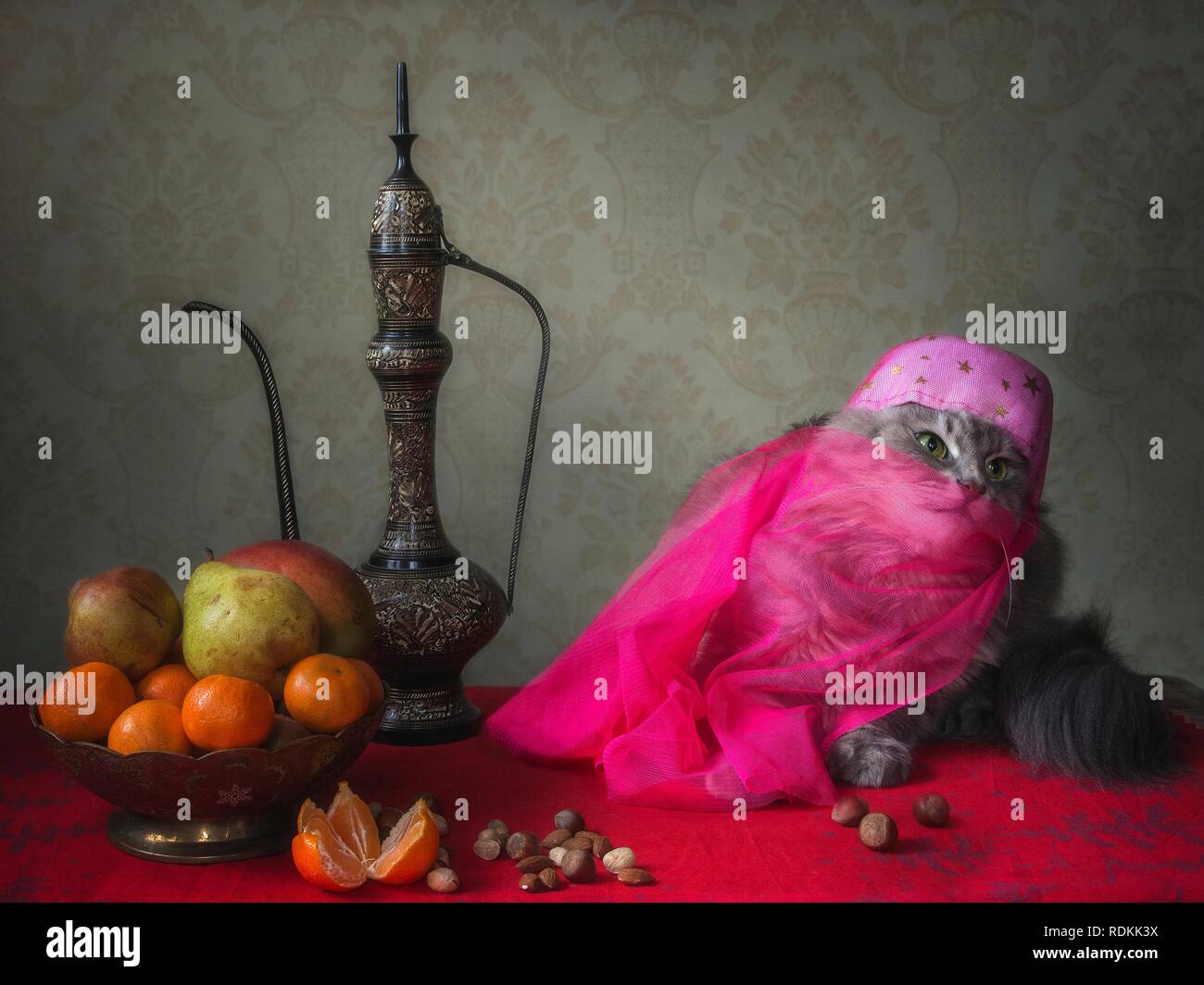 Beautiful gray kitty in the image of an eastern princess Stock Photo ...