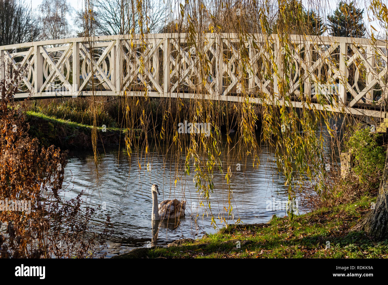 St neots bridge hi-res stock photography and images - Alamy