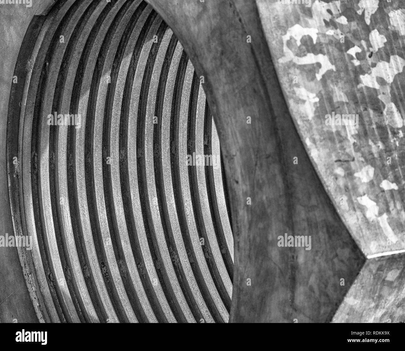 Large nut hi-res stock photography and images - Alamy