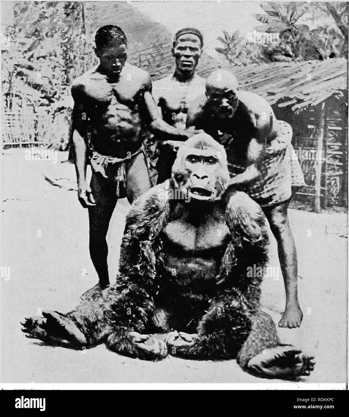 Credulous Stock Photos & Credulous Stock Images - Alamy