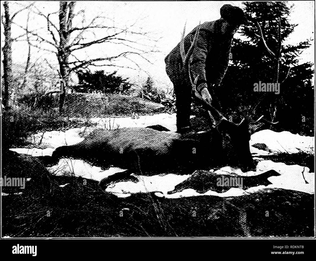 Slave maker hi-res stock photography and images - Alamy