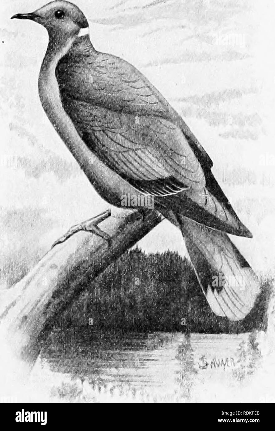 Sylvania 300 hi-res stock photography and images - Alamy