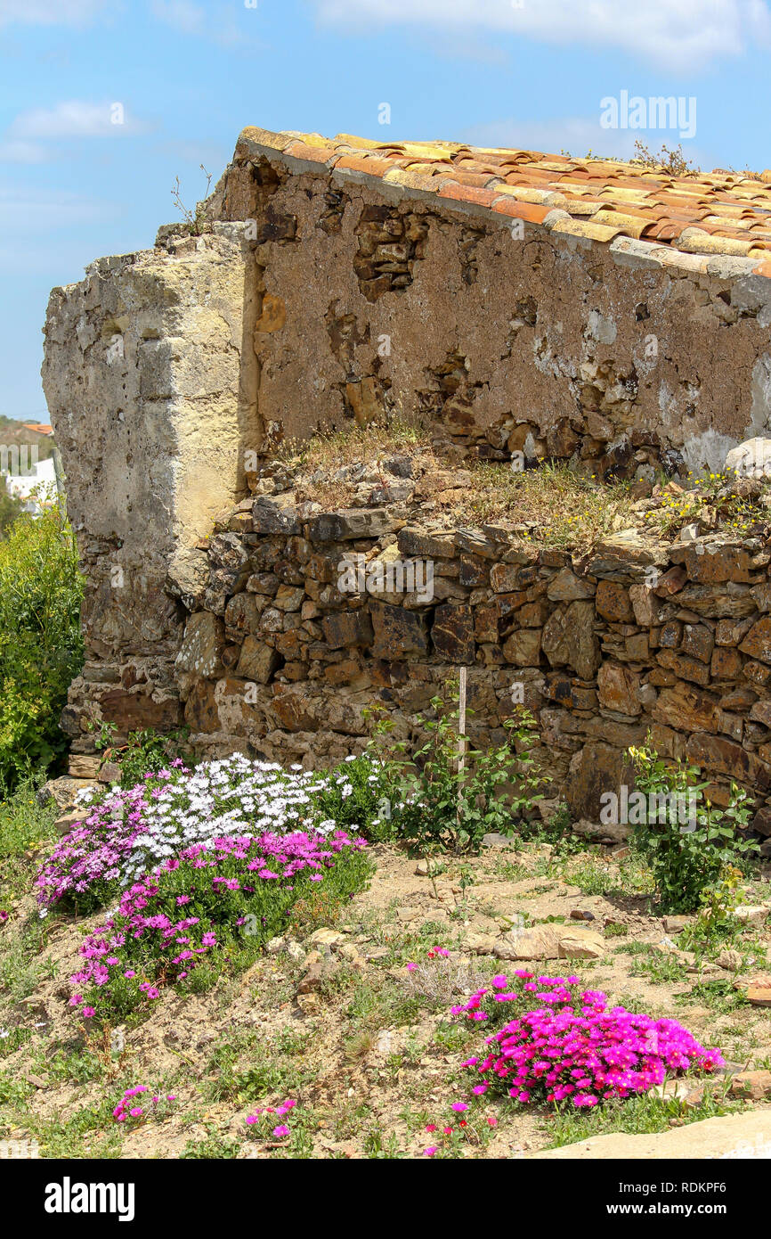 old abandoned house ruin in an idyllic landscape with flowers Stock ...