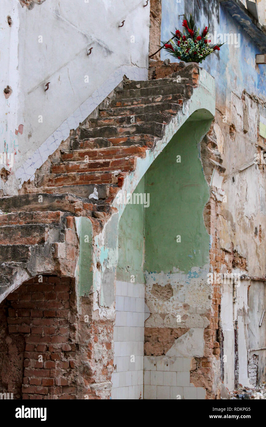 Flowers in a ruin on top of stairs , Havanna, Cuba Stock Photo - Alamy