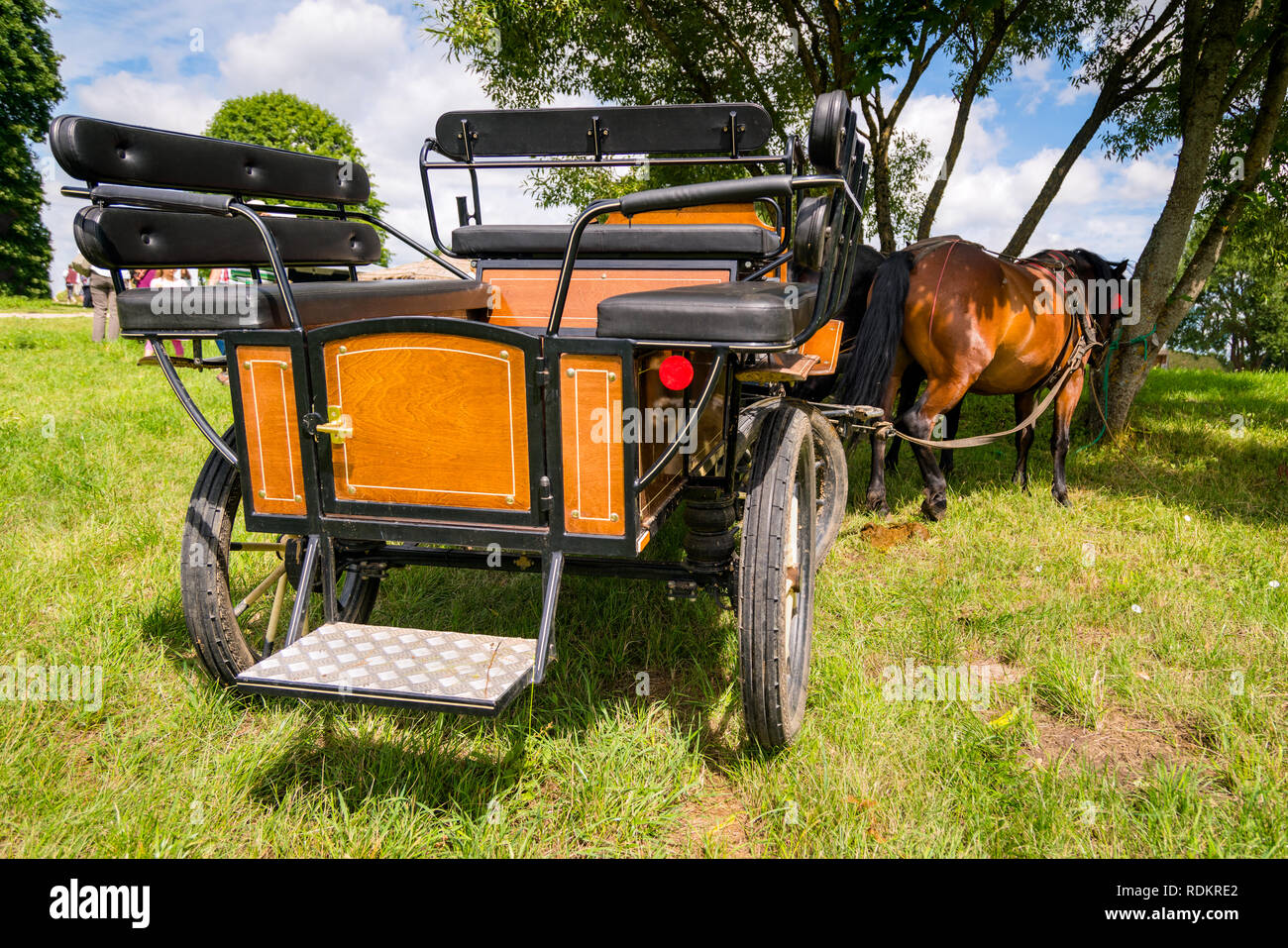 Beautiful old carriage on the grass with horses eating hay Stock Photo ...