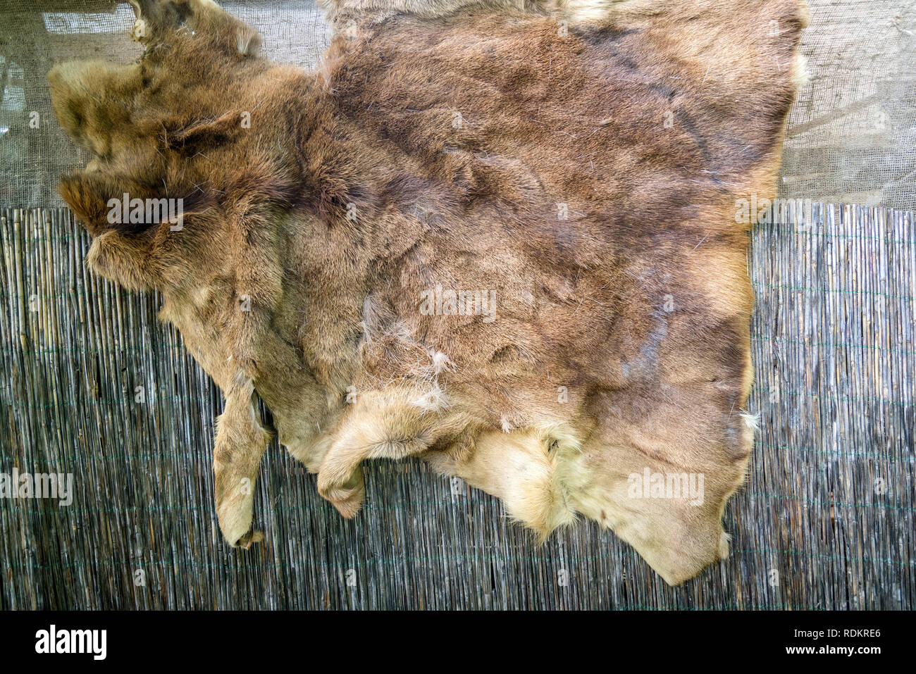 Fur coat hanging hi-res stock photography and images - Alamy