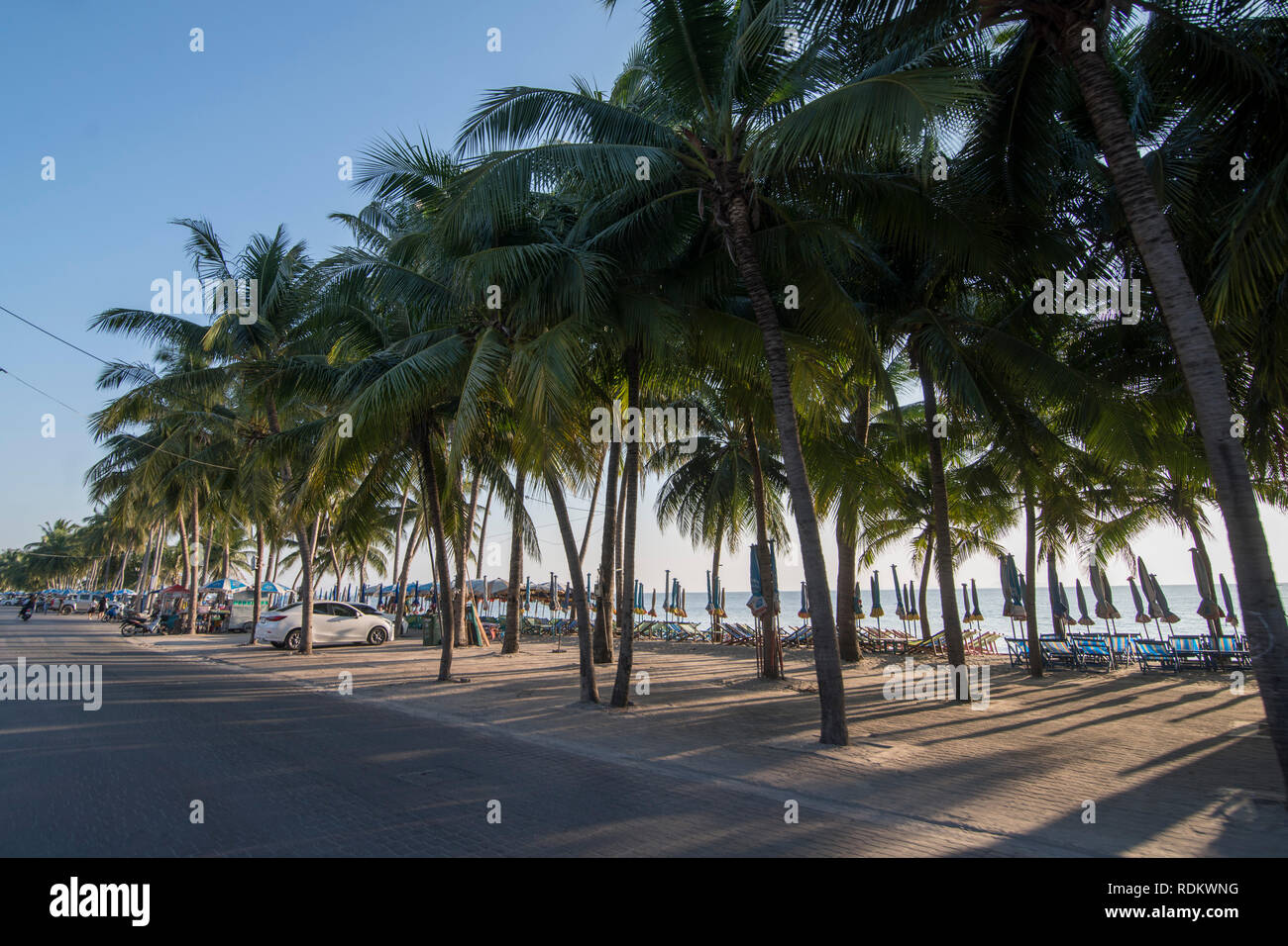 the Bang Saen Beach at the Town of Bangsaen in the Provinz Chonburi in ...