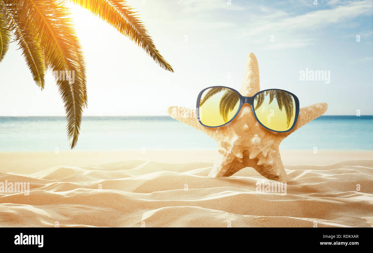 Tan star fish High Resolution Stock Photography and Images - Alamy