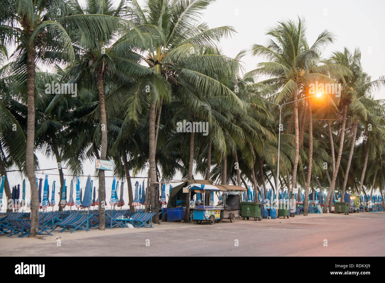 the Bang Saen Beach at the Town of Bangsaen in the Provinz Chonburi in ...