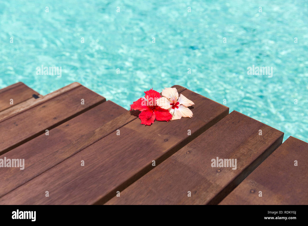 Bora bora flower hi-res stock photography and images - Alamy