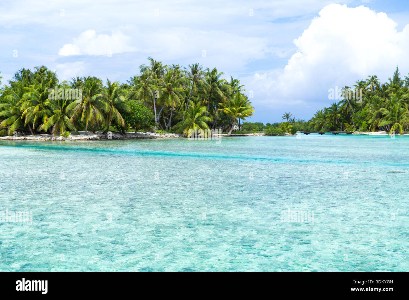 bridge on tropical beach in french polynesia Stock Photo - Alamy