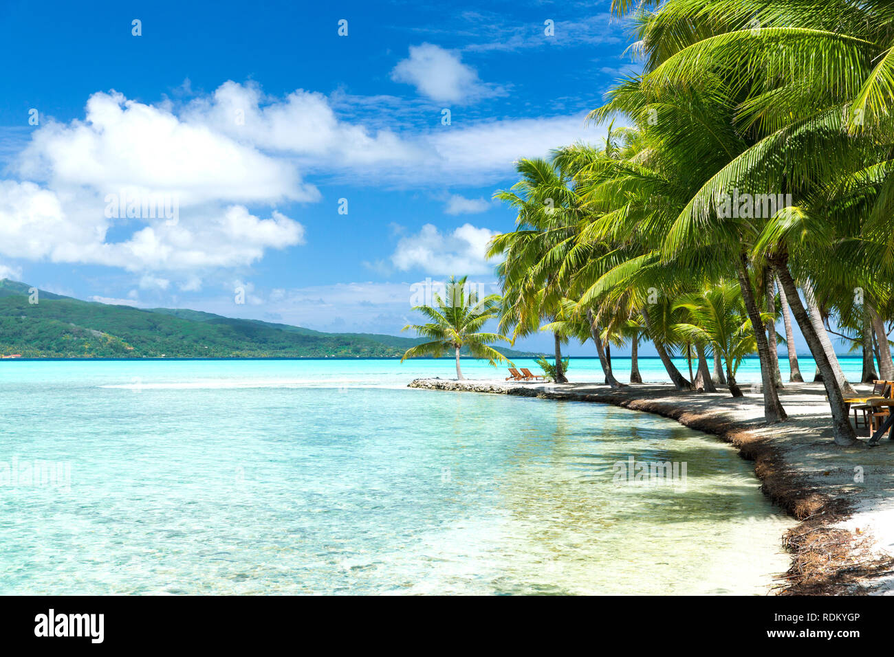 Palm trees resort in bora hi-res stock photography and images - Alamy