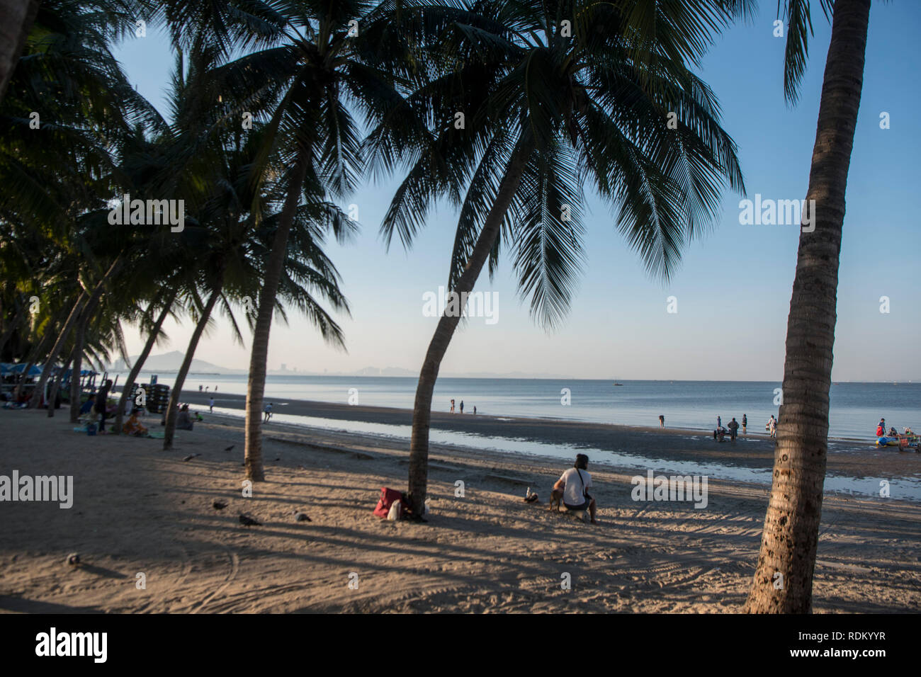 the Bang Saen Beach at the Town of Bangsaen in the Provinz Chonburi in ...