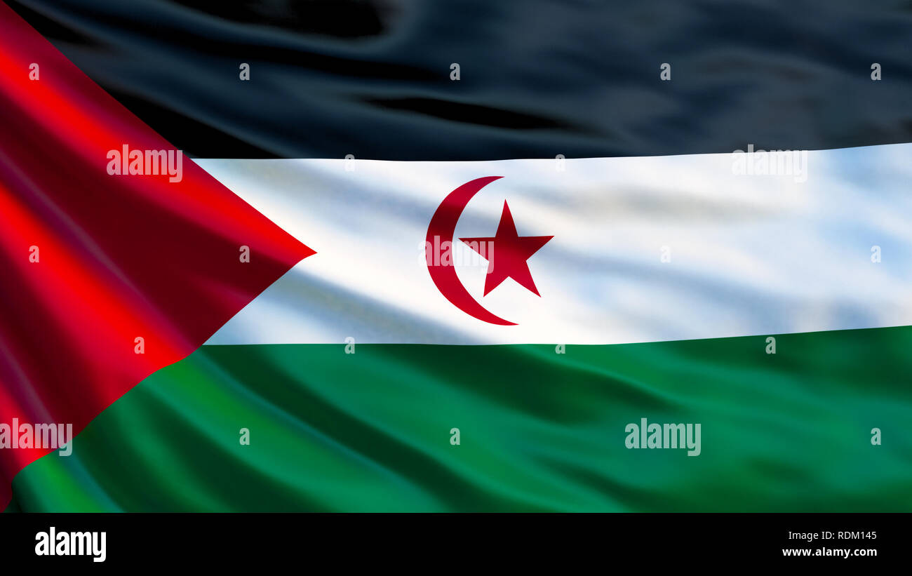Sahrawi flag. Waving flag of Sahrawi 3d illustration. Western Sahara ...