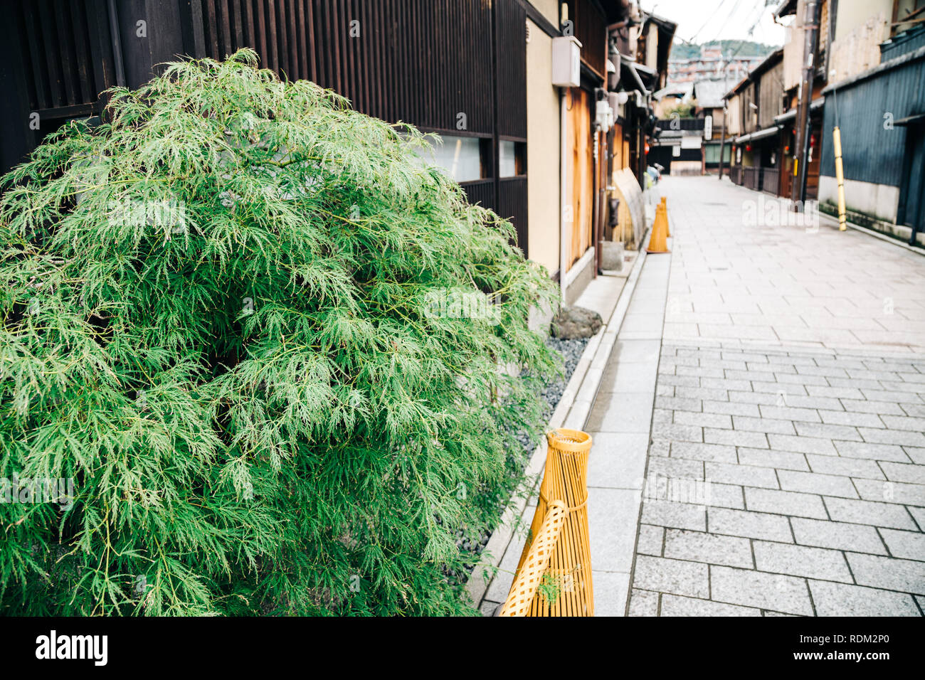 Gion restaurant hi-res stock photography and images - Alamy