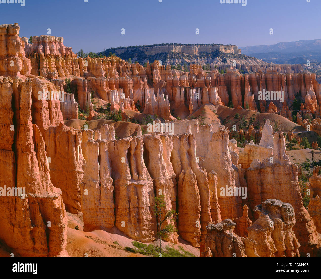 USA, Utah, Bryce Canyon National Park, Colorful hoodoos in Bryce ...