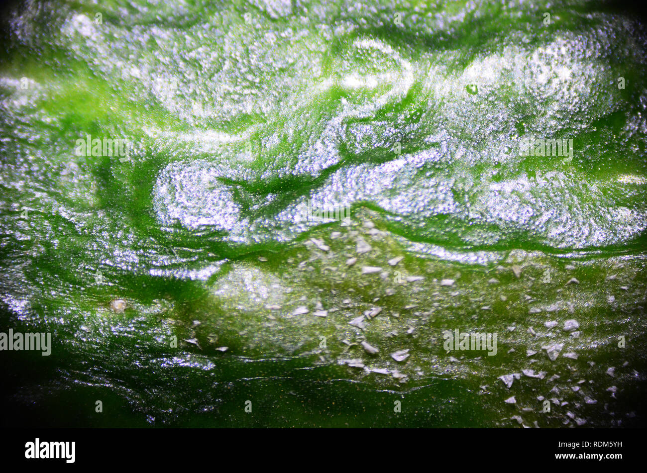 Cucumber skin hi-res stock photography and images - Alamy
